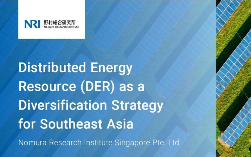 Distributed Energy Resource (DER) as a Diversification Strategy for ...
